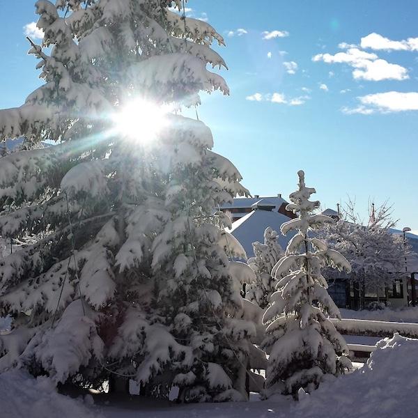 Sunny Card, a sokat síelő családok síbérlete